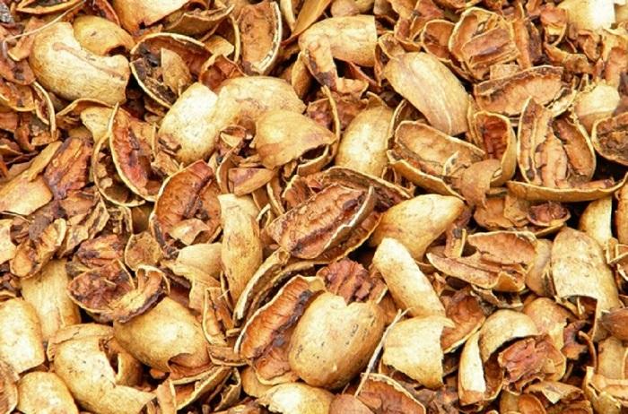 pecan shells for smoking