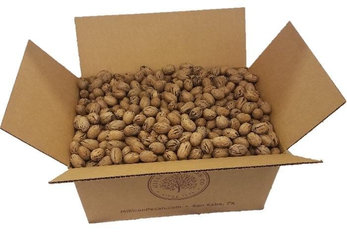 Buy Bulk In Shell Pecan Nuts for Sale | Premium Fresh Texas Pecans